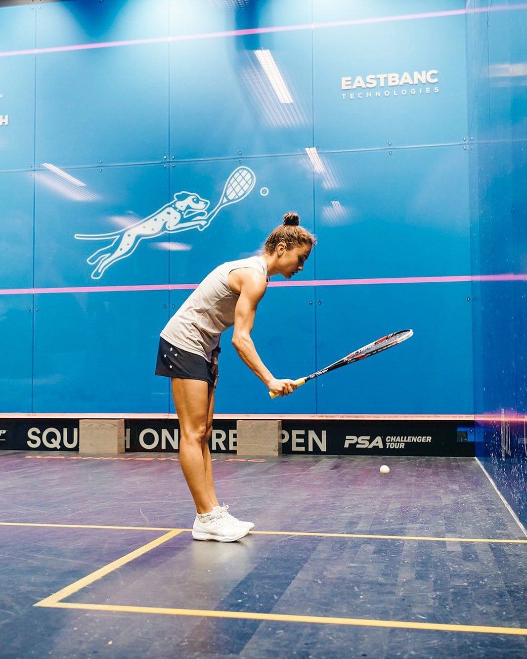 Stellar Assault Squash Racket - Squash Source